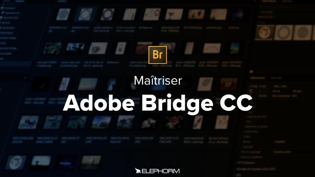 Maîtriser Adobe Bridge CC