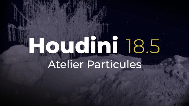 Houdini 18.5 - Atelier Flip et Pyro solver | Elephorm